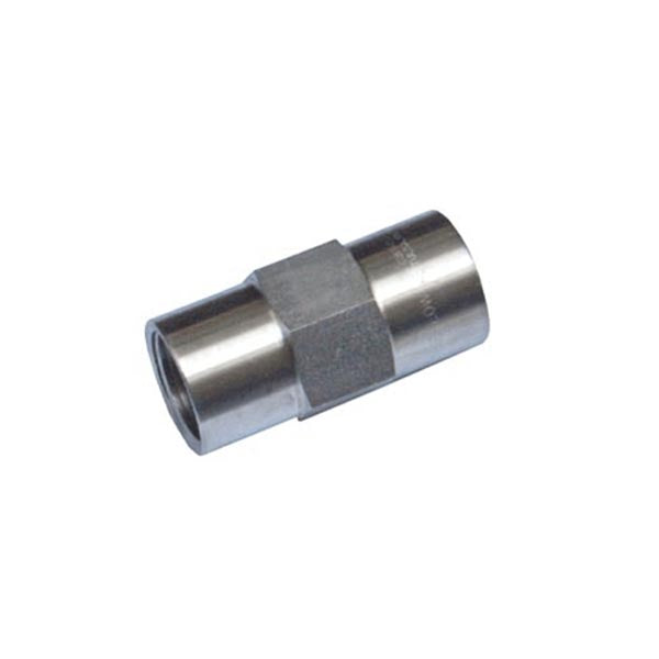 Fluid Controls Stainless Steel 3/8'' FxF NPT Viton O-Ring Check Valve ...