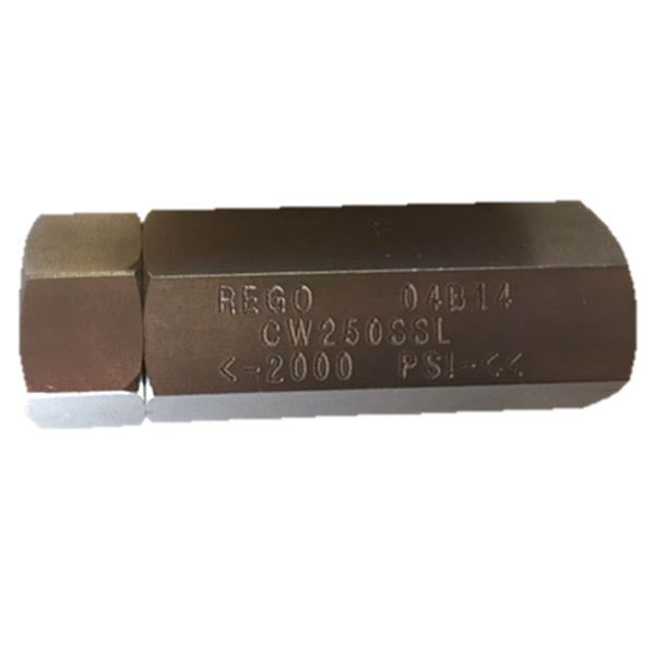 Rego Stainless Steel 1/4'' FPT Check Valve with Viton O-Rings – Car ...